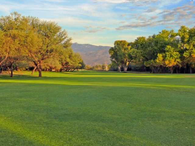 Forty Niner Country Club In Tucson forty-niner-country-club-in-tucson